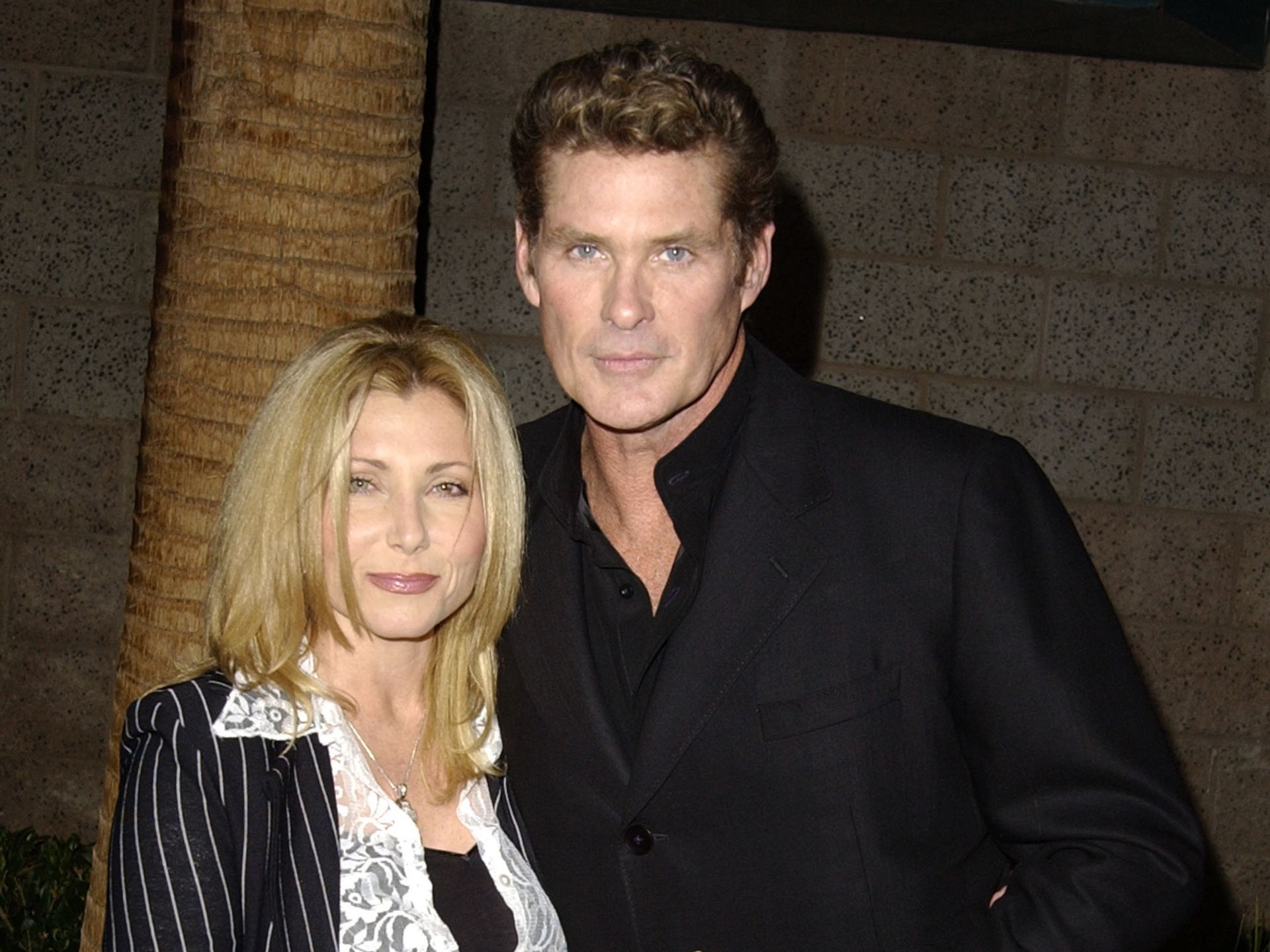 David Hasselhoff Svampebob