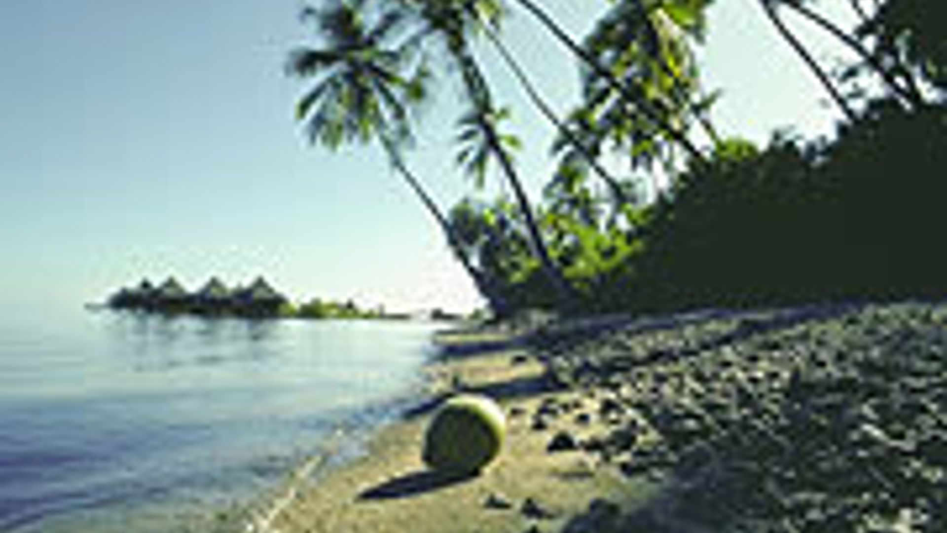 Nicole Kidman and Keith Urban enjoy holiday in Tahiti in | HELLO!