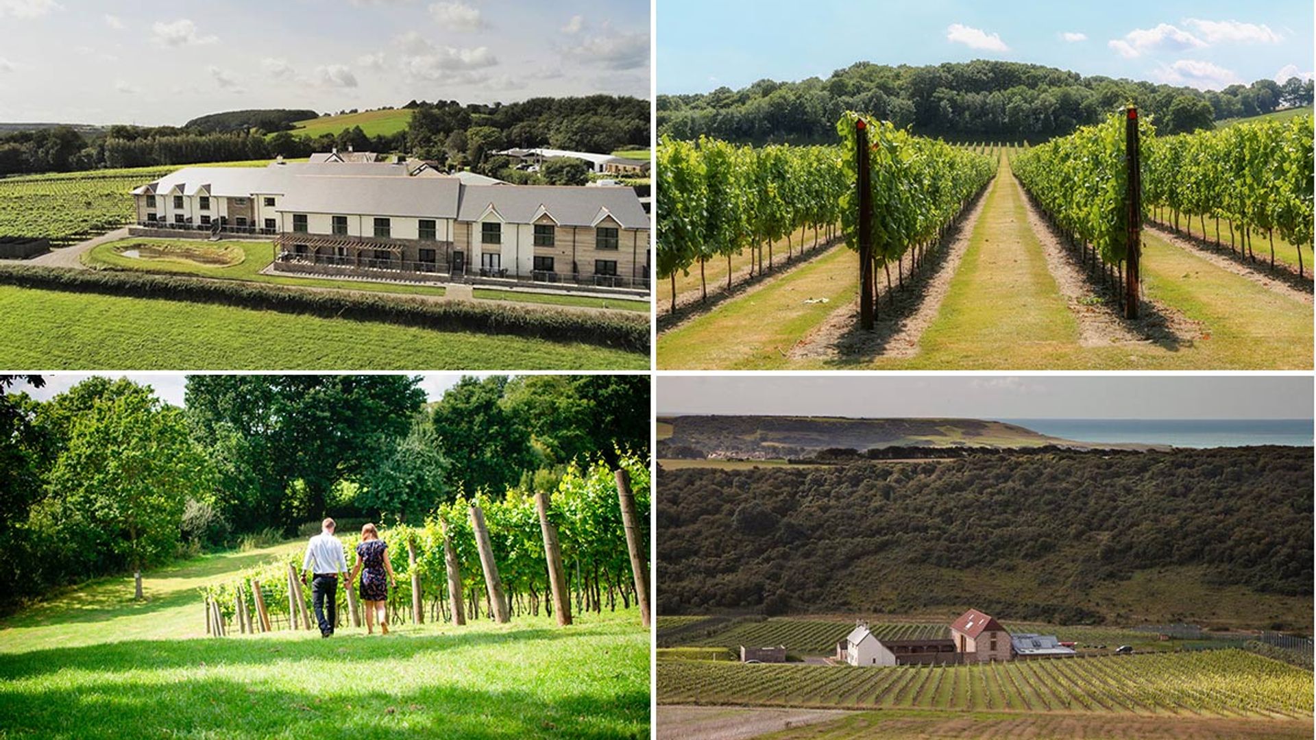 16 best UK vineyards: The perfect staycation idea for wine lovers | HELLO!