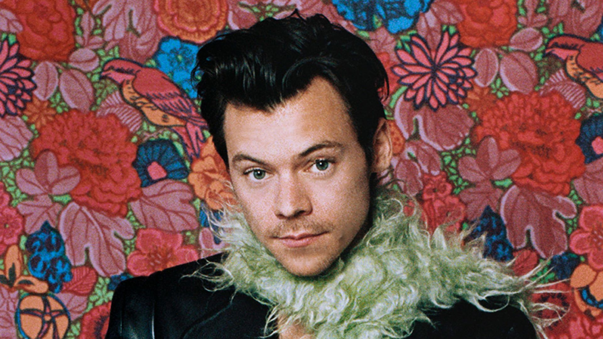 Harry Styles - Biography | HELLO!
