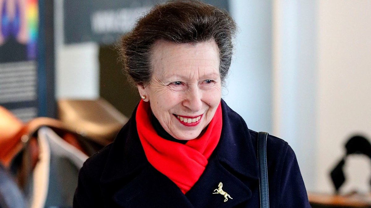 Princess Anne hints at feelings about Prince Harry and Meghan Markle's ...