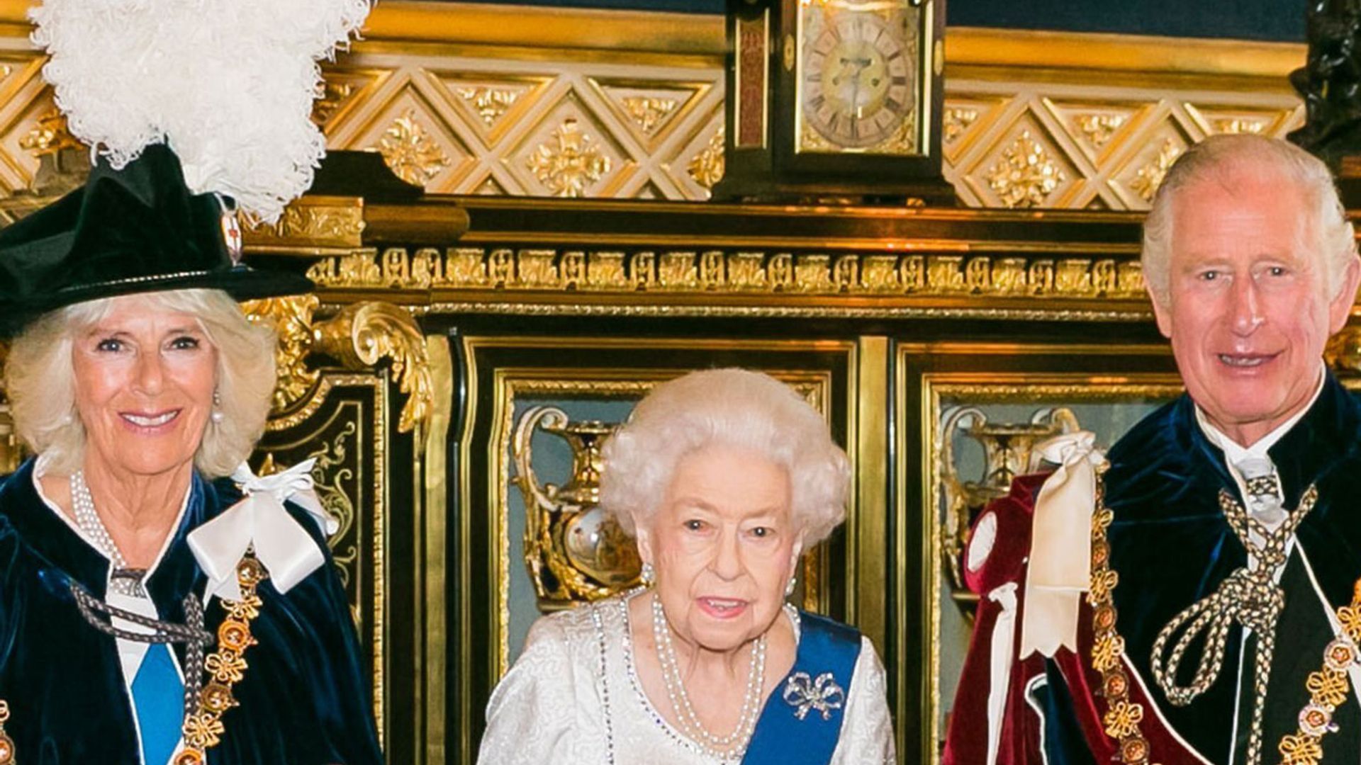 The Queen is all smiles in gown and Order of the Garter sash in new ...