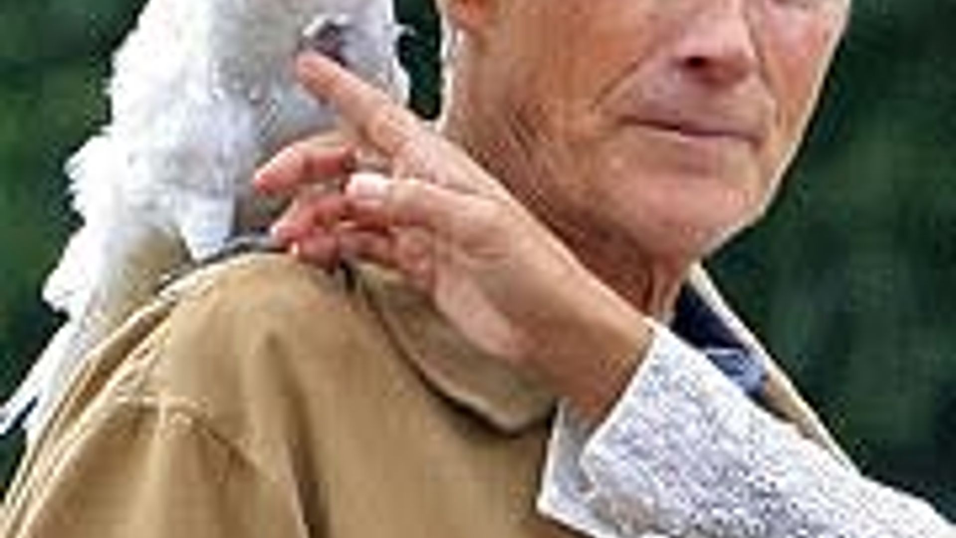 Clint wings it on set of new flick with help of feathered | HELLO!