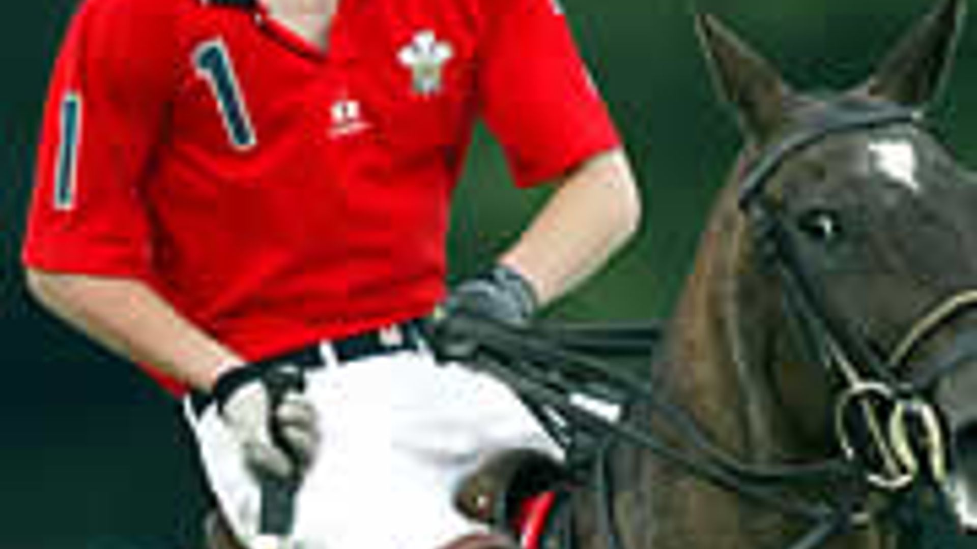 HARRY STARTS GAP YEAR WITH FAREWELL BASH | HELLO!