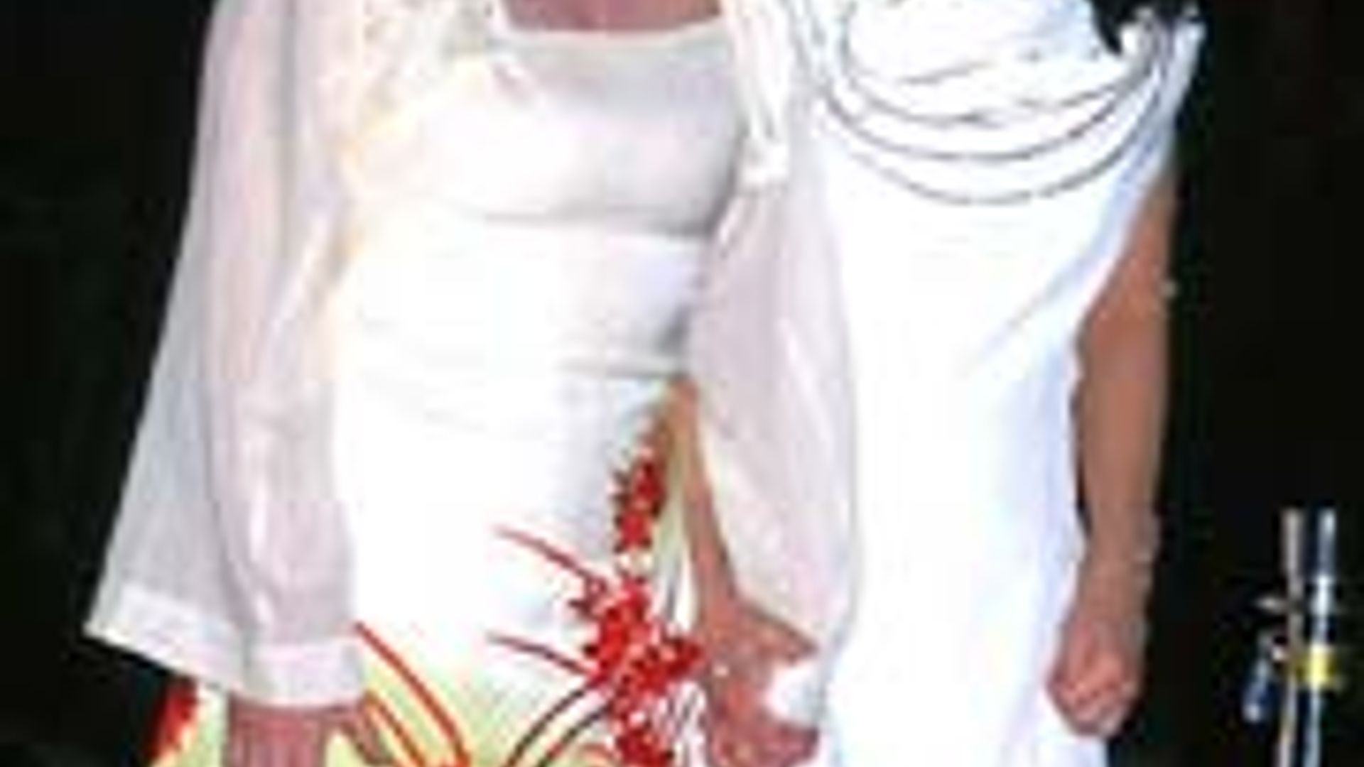 BJORK S MOTHER CONTINUES HUNGER STRIKE | HELLO!