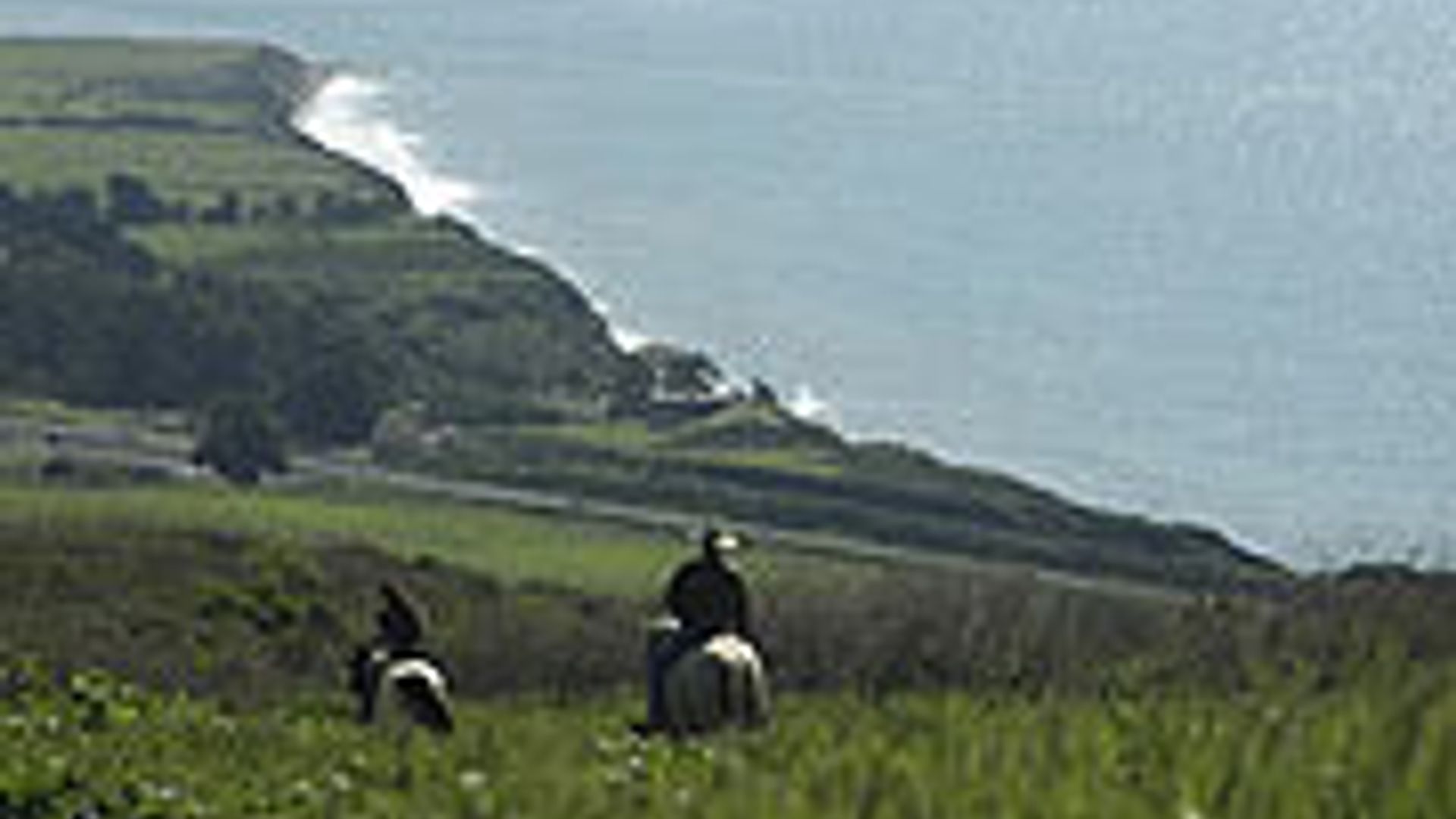 Superman actor weds his 'Lois' in romantic ranch setting | HELLO!