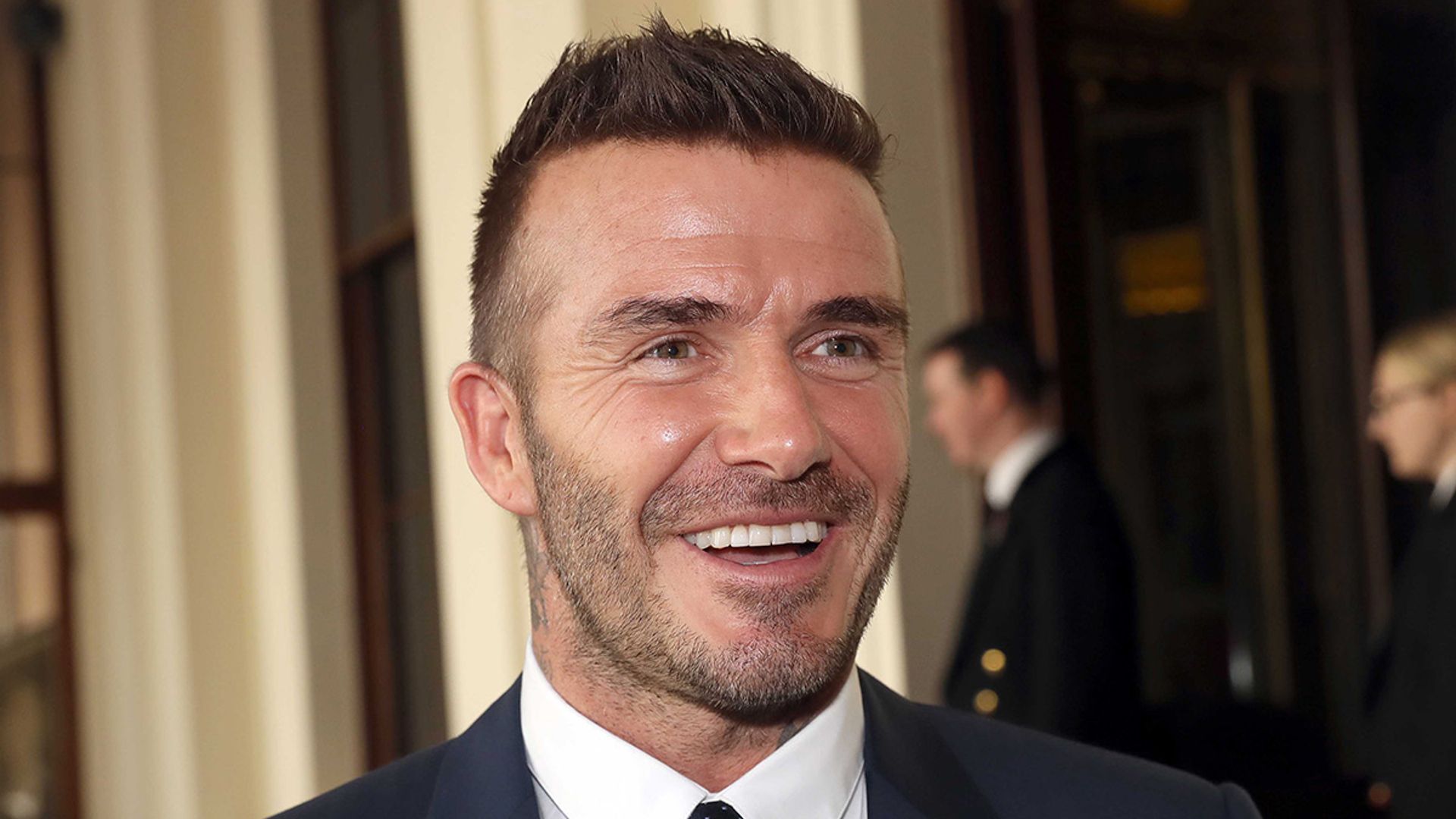 David Beckham shares rare peek into unbelievably wild Cotswolds garden ...