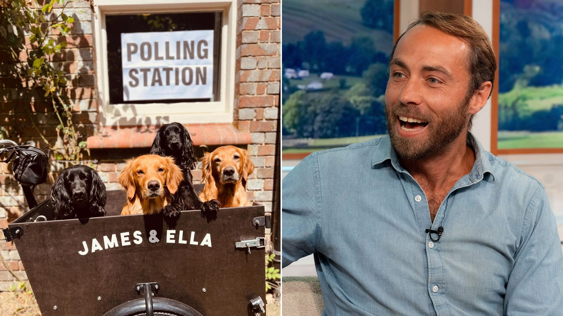 James Middleton can't resist jumping on the dogs at polling stations ...