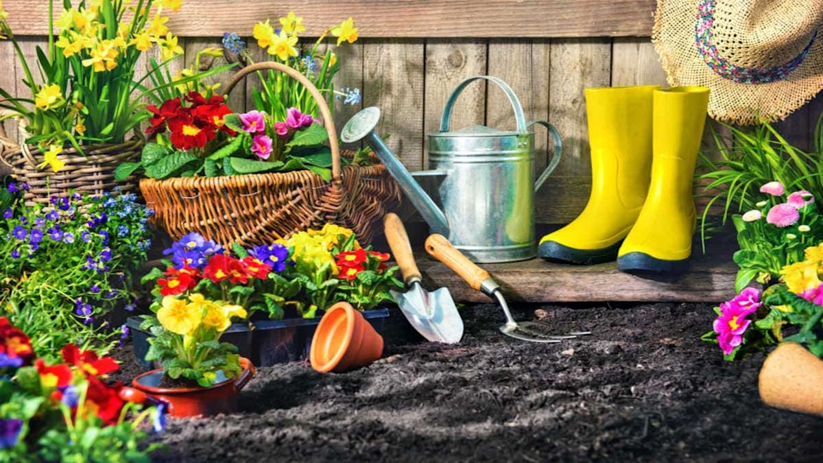 8 popular & easy to grow garden flowers perfect for summer | HELLO!