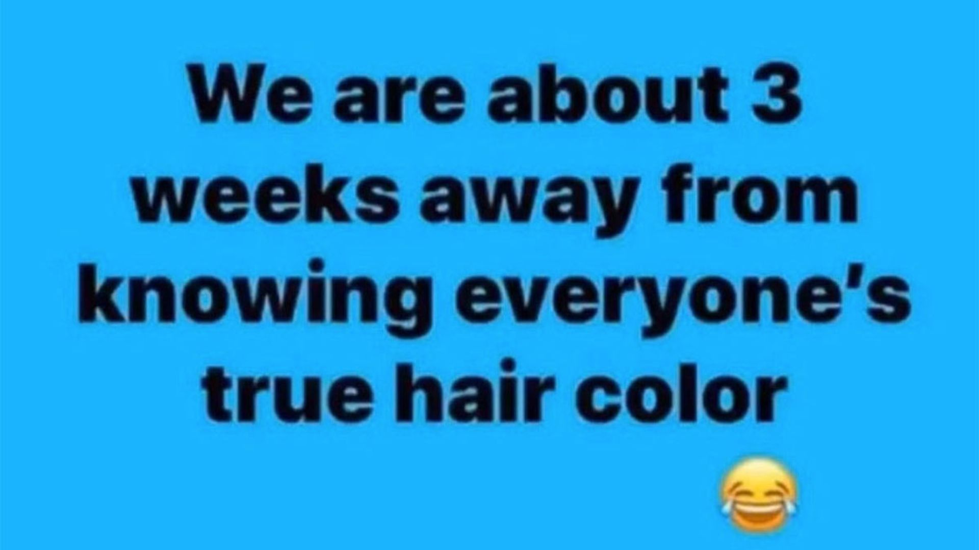 The funny lockdown-related memes to keep you entertained while in self ...