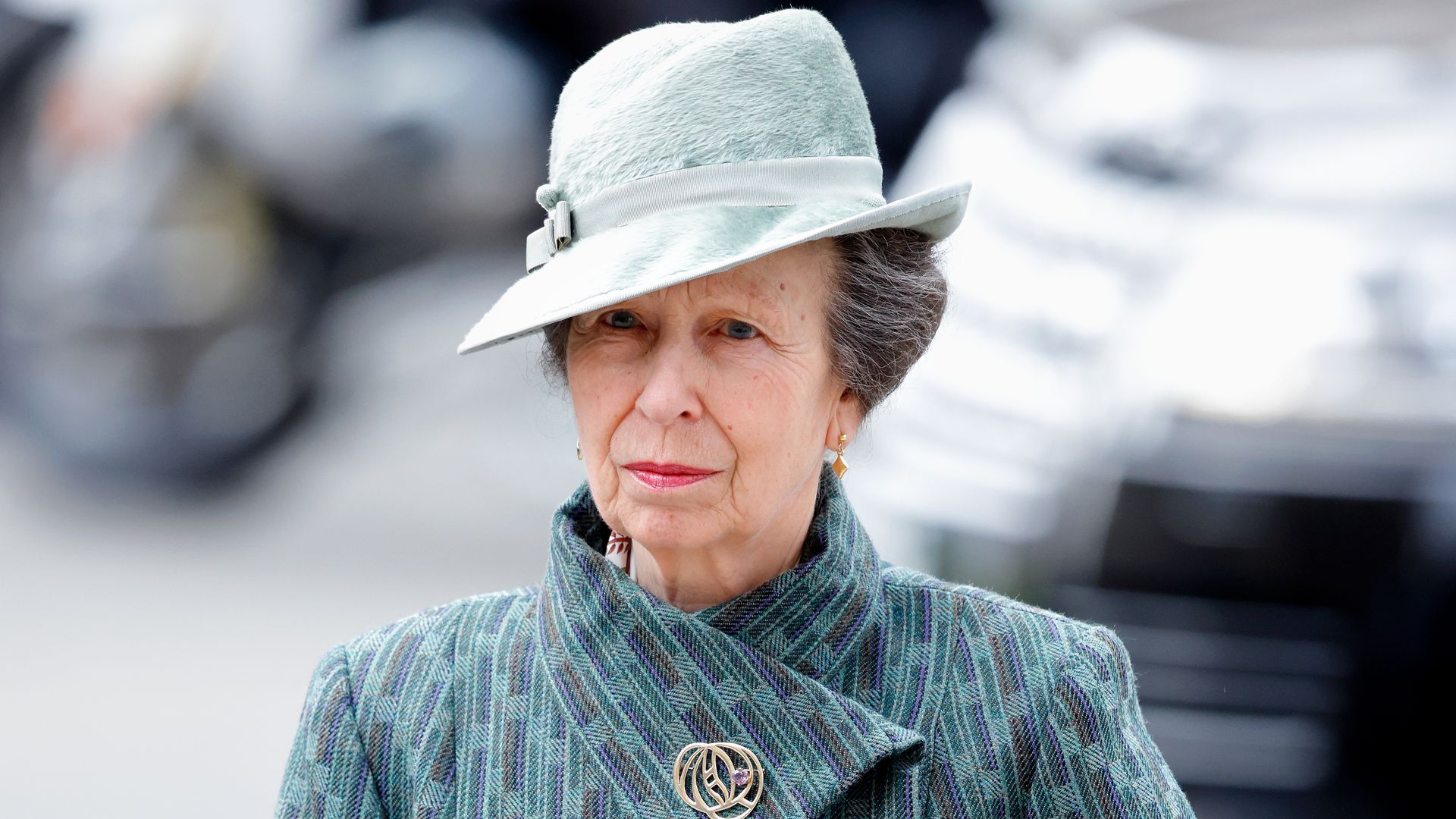 Princess Anne shares deep sadness in first public message since leaving ...