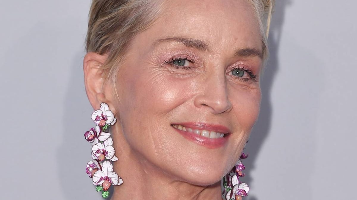 Sharon Stone, 63, dazzles in low-cut silk blouse and heels in 'hot' new ...