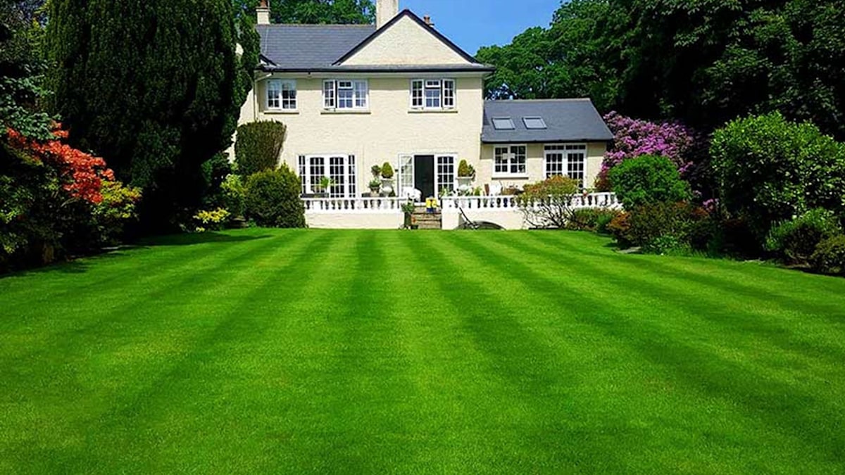 How to look after your lawn in summer | HELLO!