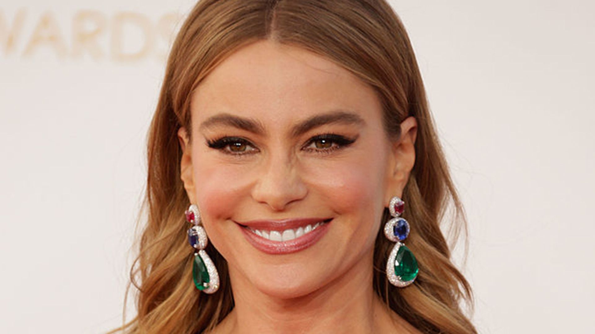Sofia Vergara dazzles in figure-hugging dress for major announcement | HELLO!
