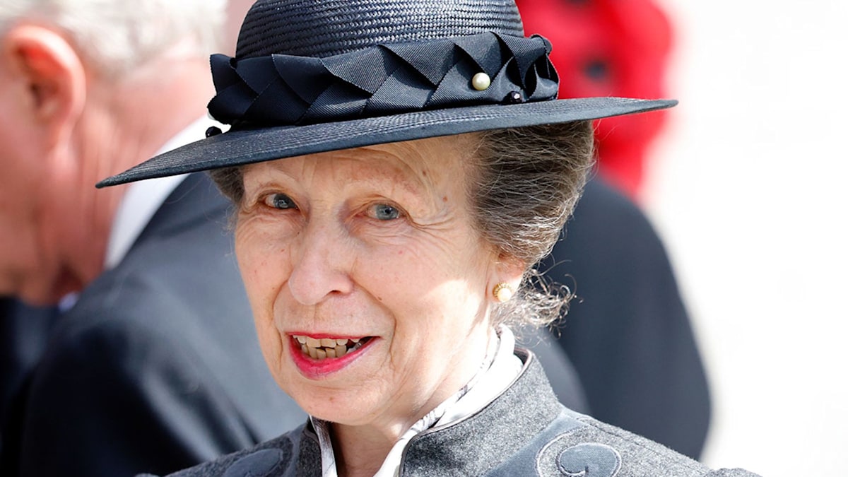 Princess Anne manages a smile in elegant outfit during sombre occasion ...
