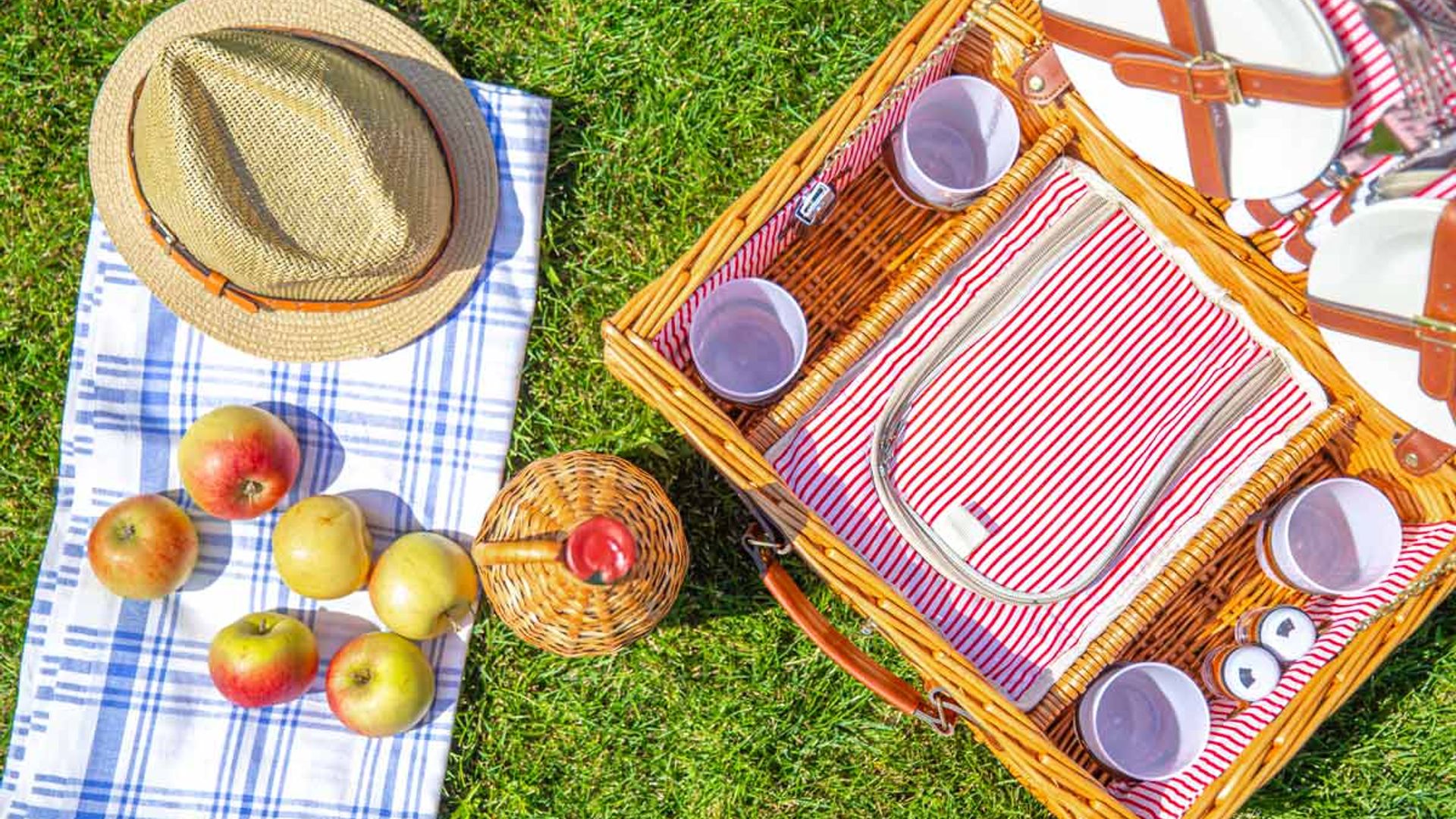 Heatwave incoming! 13 picnic essentials every family needs: baskets ...