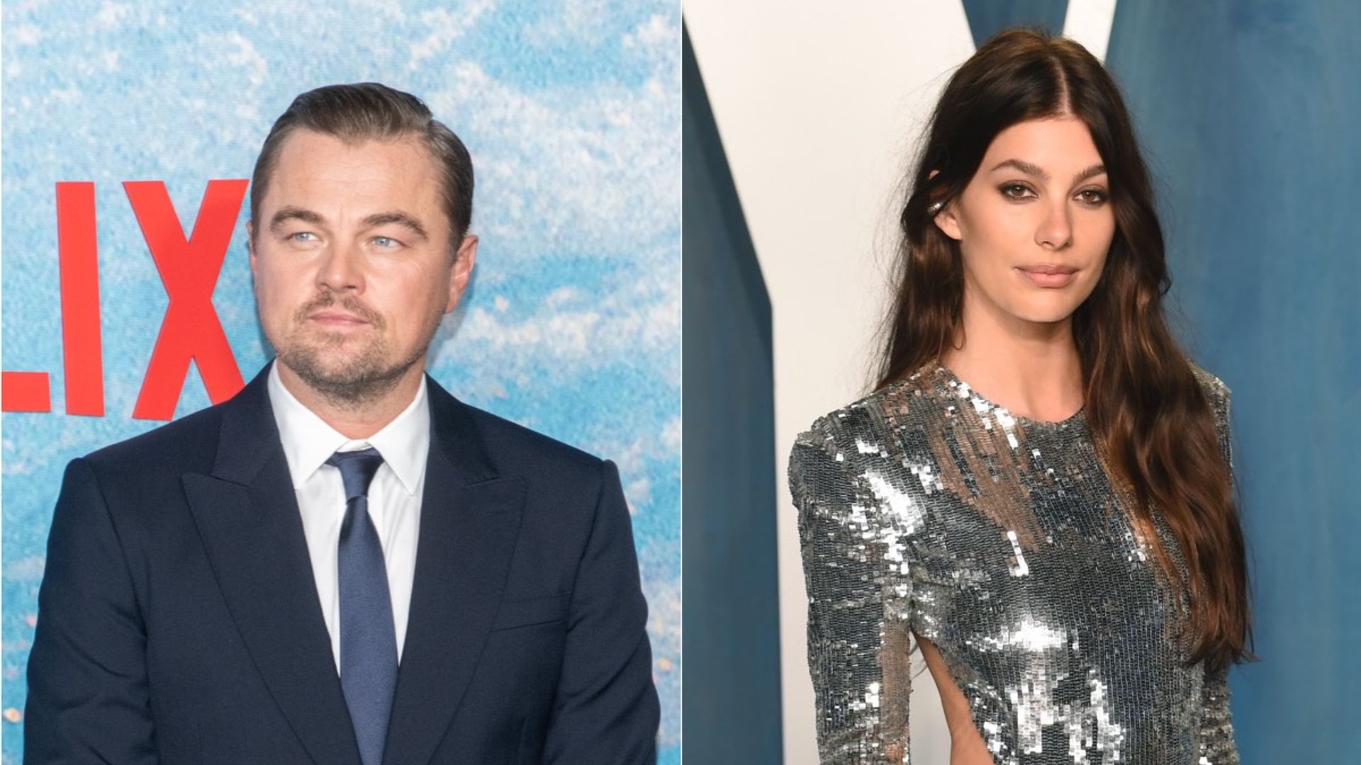 Leonardo DiCaprio's ex-girlfriend breaks silence and jokes about their ...