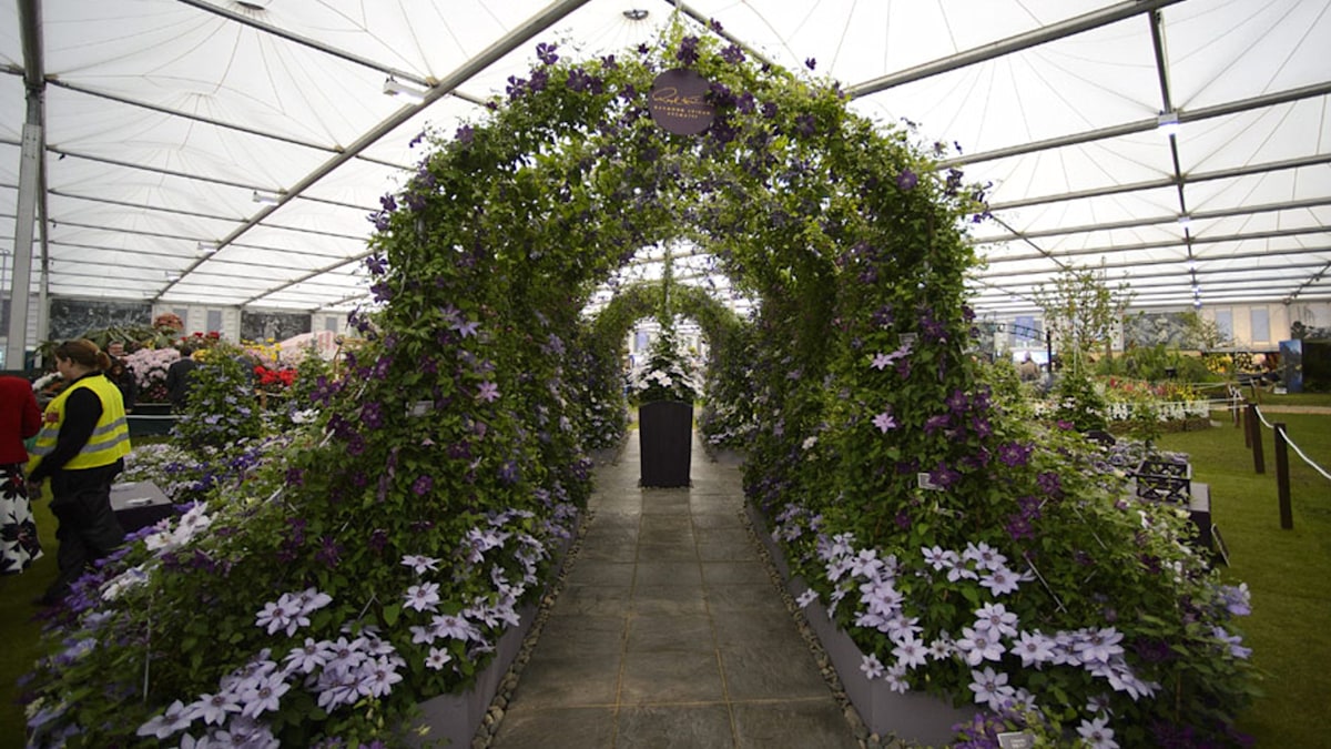 Queen leads royal party attending the Chelsea Flower Show | HELLO!