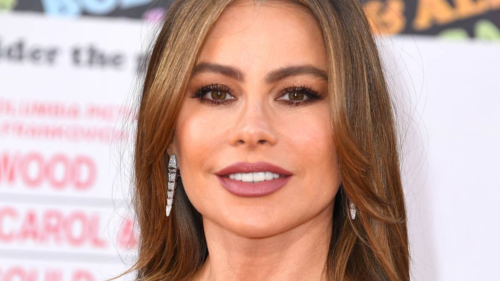 Modern Family star Sofia Vergara delights fans with exciting news ...