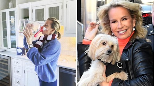 GMA newlywed Dr Jennifer Ashton's stunning homes look like 5* hotels ...