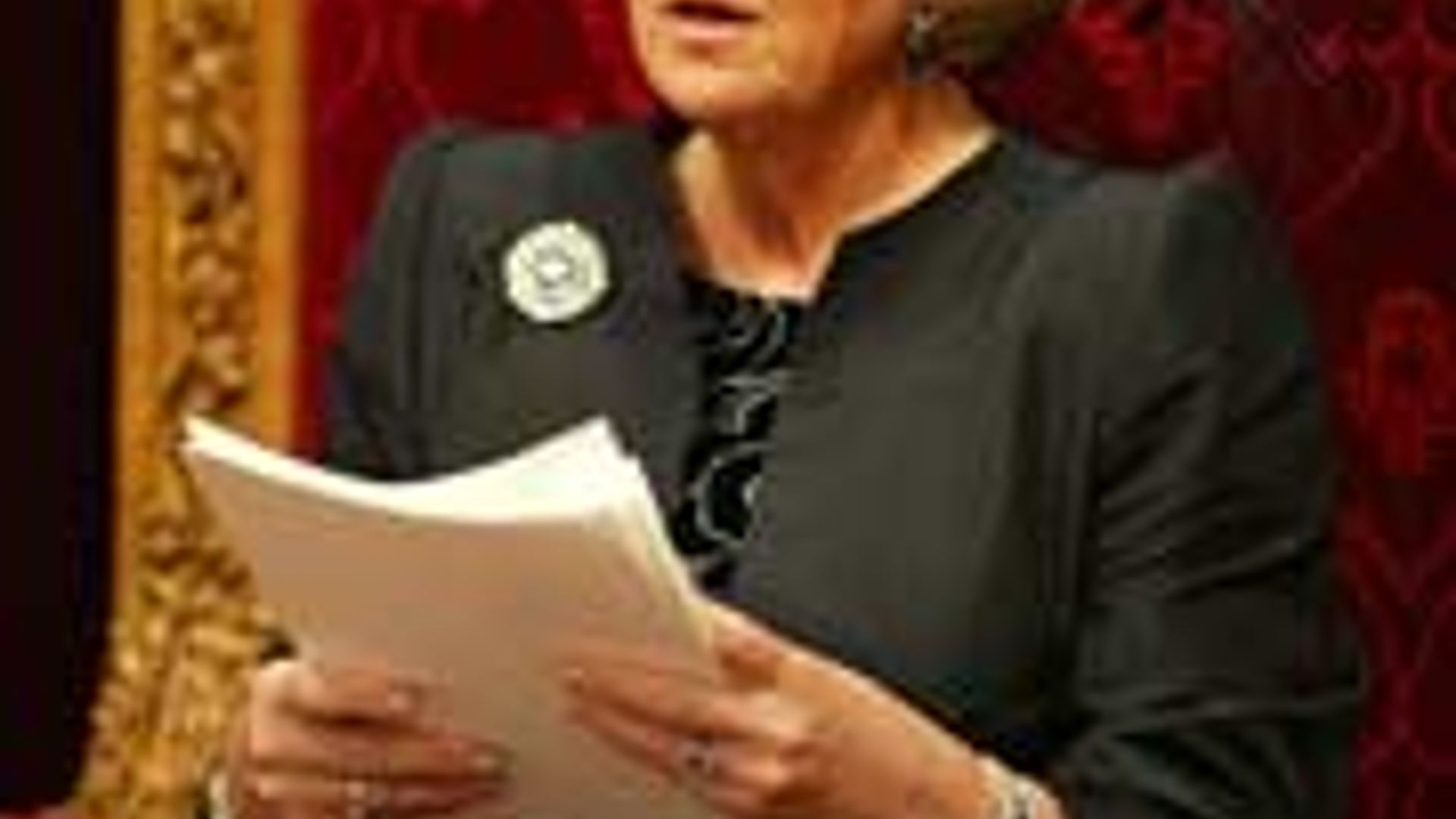 QUEEN BEATRIX OF THE NETHERLANDS OPENS DUTCH PARLIAMENT | HELLO!