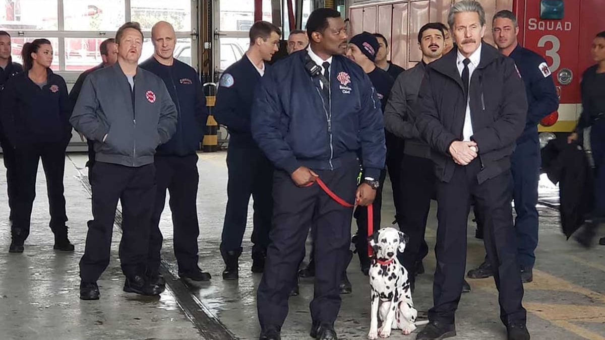 Chicago Fire fans pay emotional tribute following sad death of beloved ...