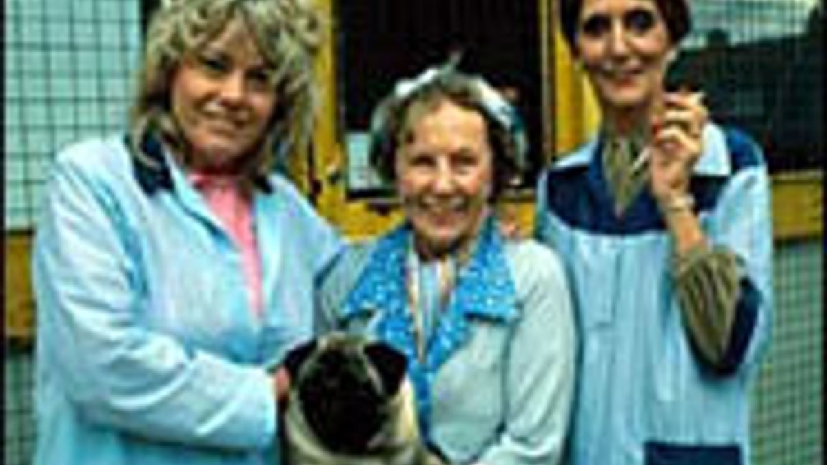 Wendy Richard, EastEnders, 'EastEnders' veteran Wendy | HELLO!