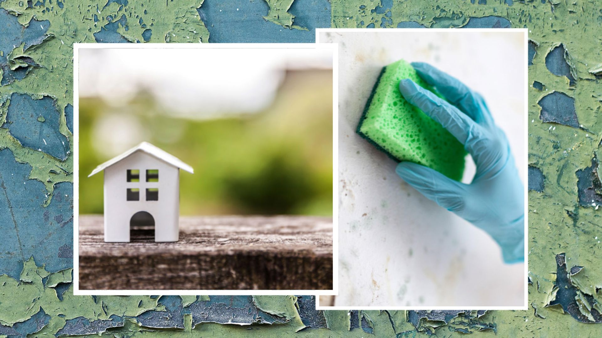 6 devastating but common house problems - and how to solve them fast ...