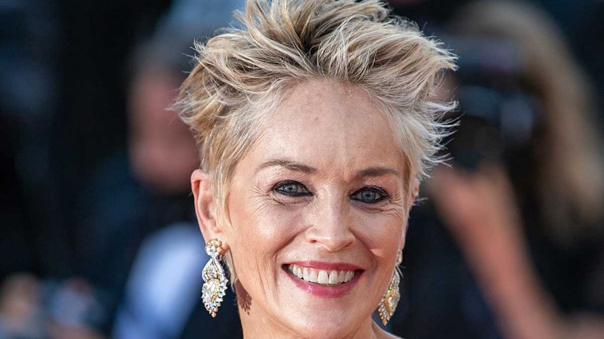 Sharon Stone, 64, surprises fans with adorable baby photo - sparks ...