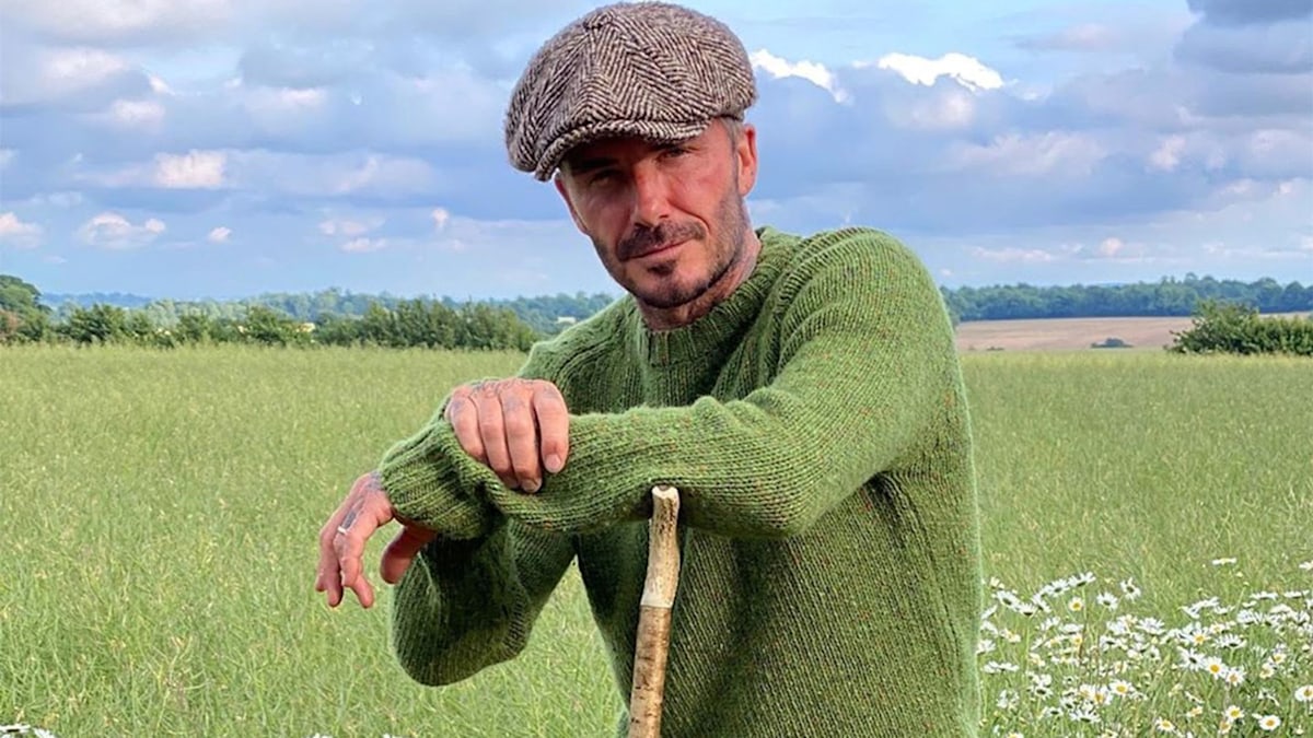 David Beckham shows off £500 homemade garden accessory at Cotswolds ...