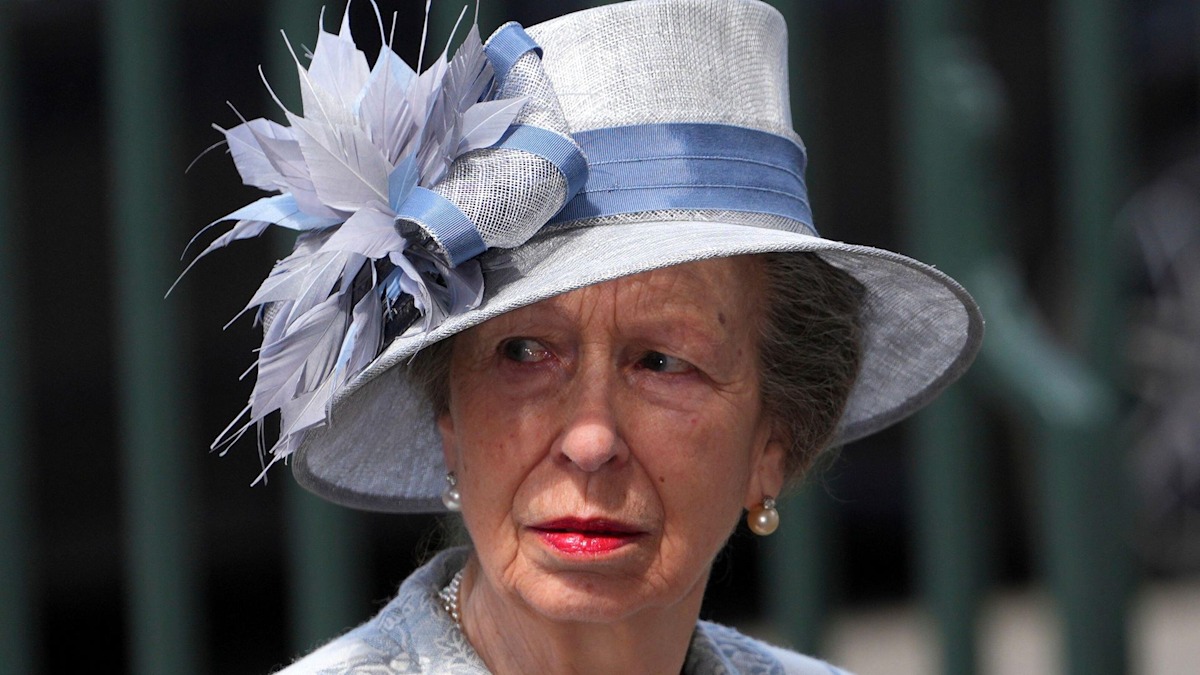 Princess Anne quietly altered cashmere bird-print 'wedding' dress for ...