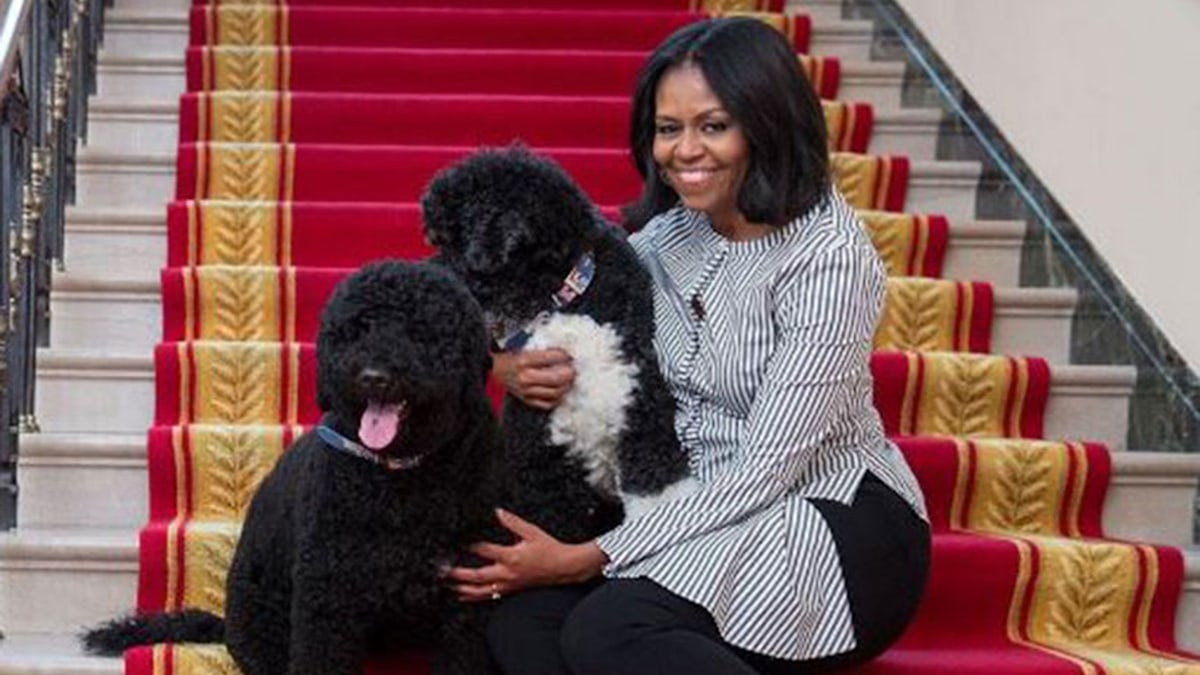 Michelle Obama sends thanks for birthday wishes: 'Being First Lady is ...