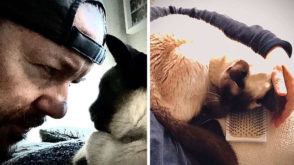 Ricky Gervais and partner Jane mourning death of beloved pet cat | HELLO!