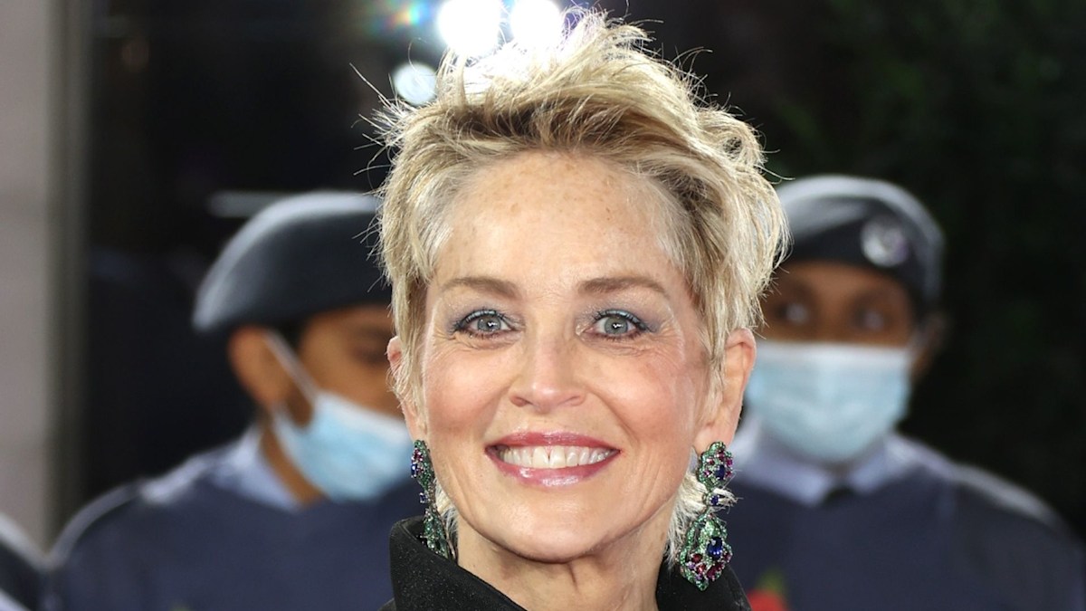 Sharon Stone wows fans with gorgeous hair transformation in plunging ...