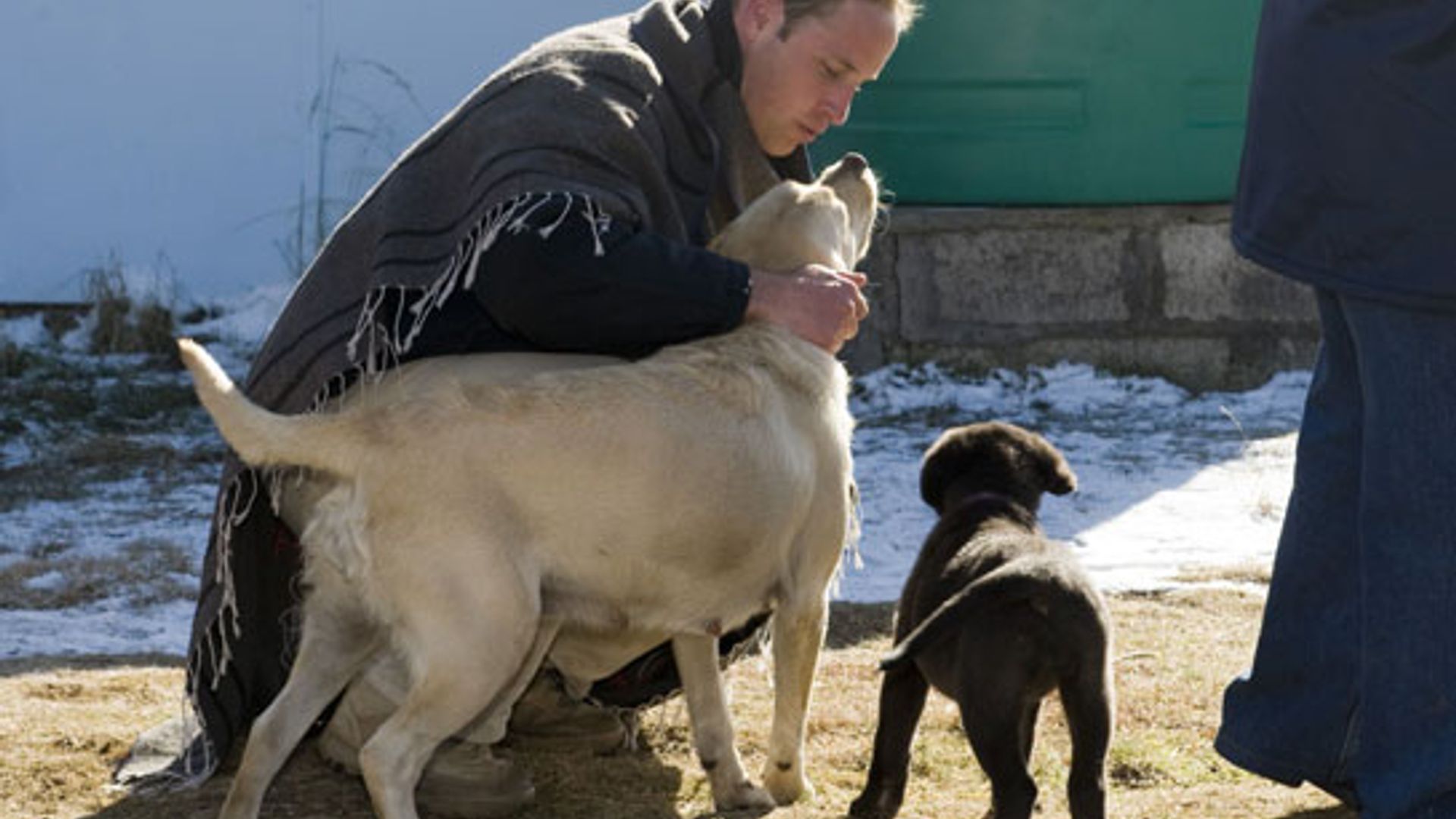 Puppy love for the Duke and Duchess of Cambridge | HELLO!