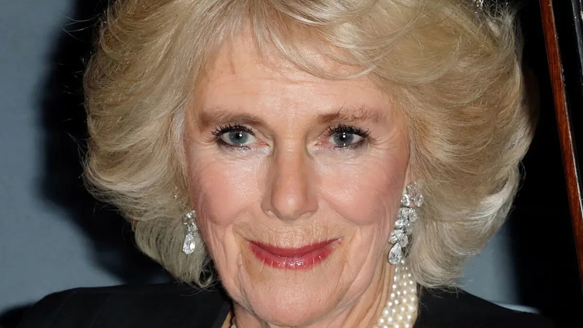 Duchess Camilla stuns in waist-cinching dress for beautiful new ...