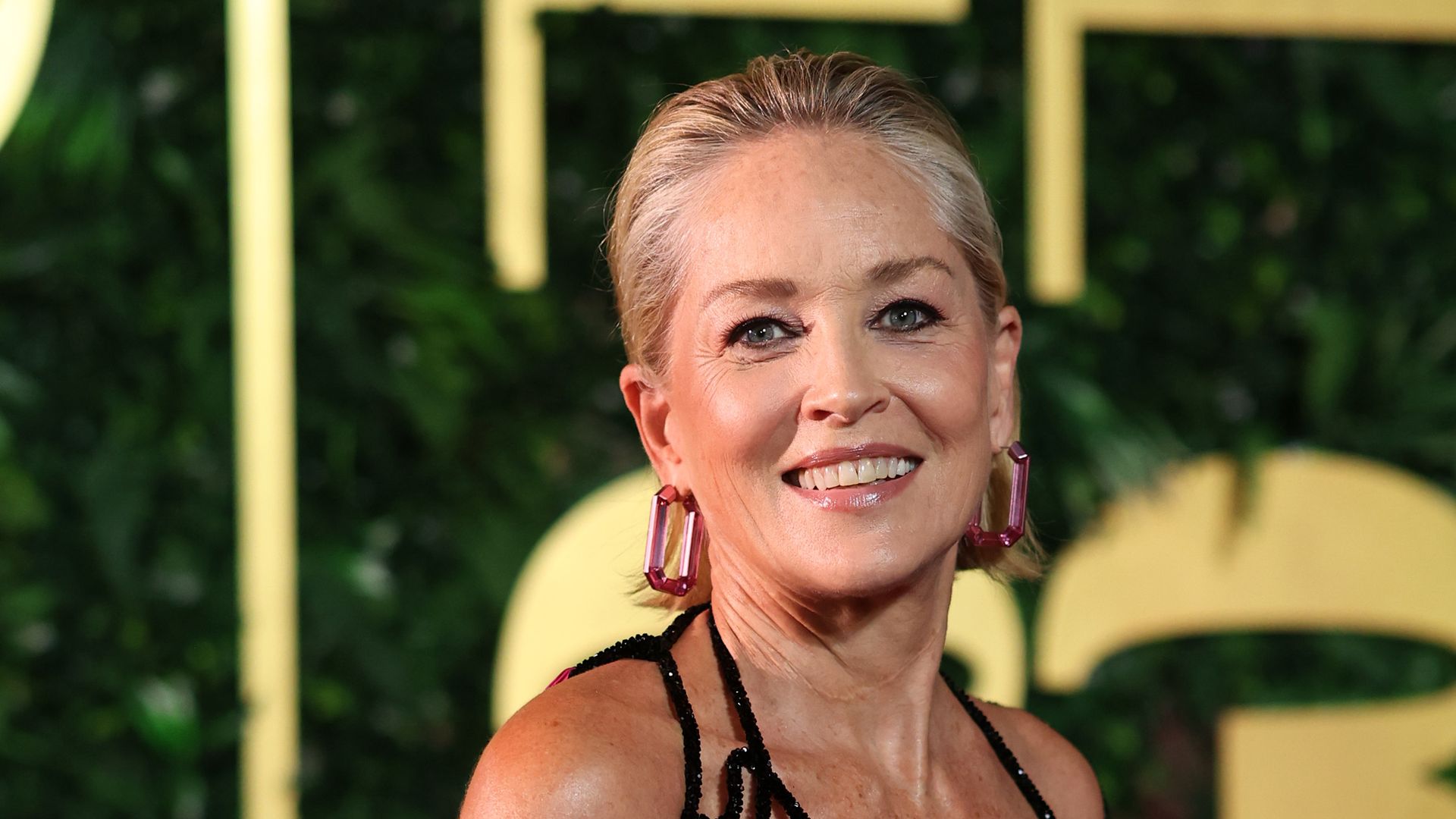 Sharon Stone's striking son Roan is so grown up in rare personal photo ...