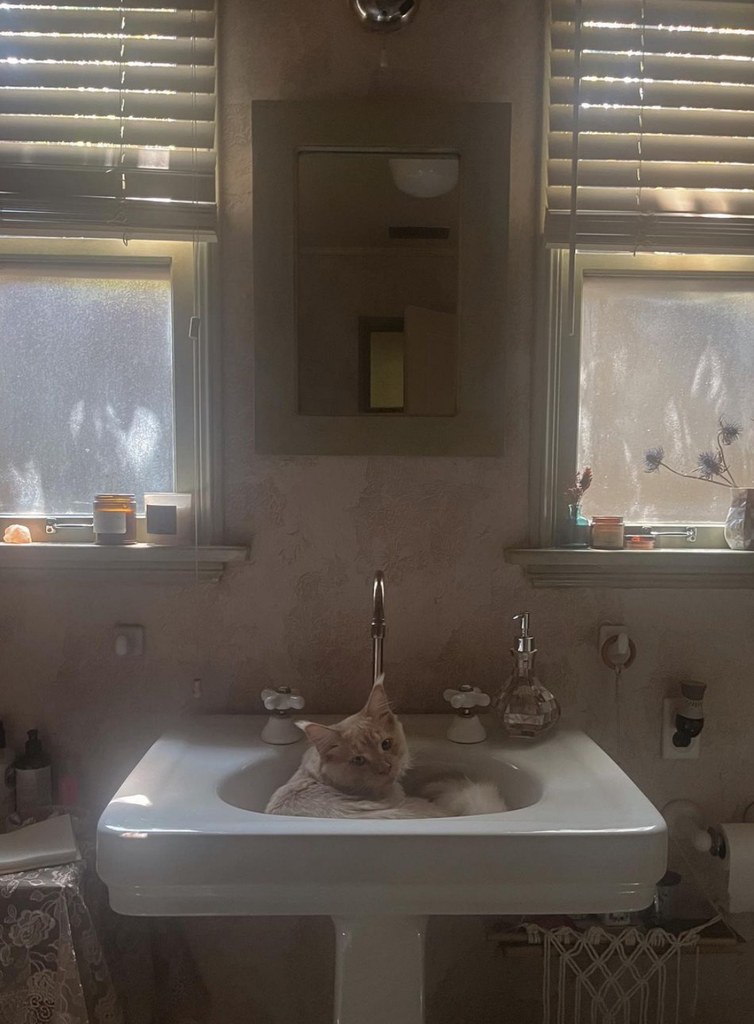 Paris Jackson shares glimpse inside quirky $3.8M L.A. home — and check ...