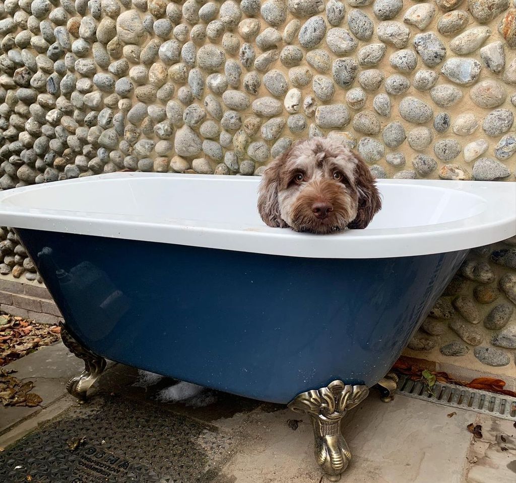 Chelsy Davy's best family photos: From her adorable baby son to her ...