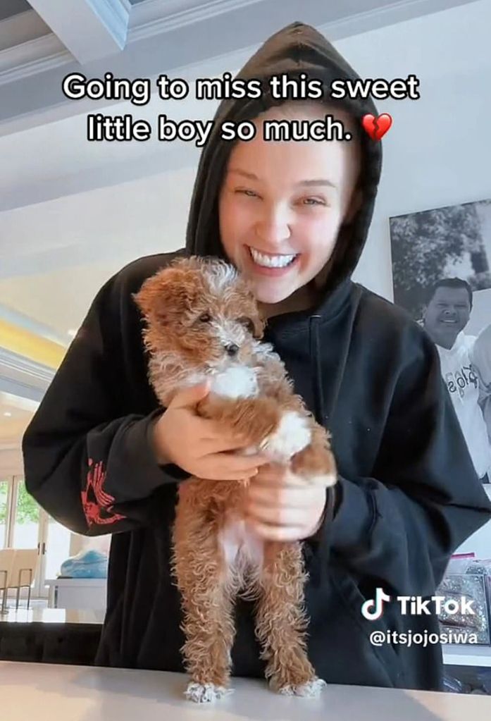 JoJo Siwa reveals heartbreaking loss after tragic accident | HELLO!