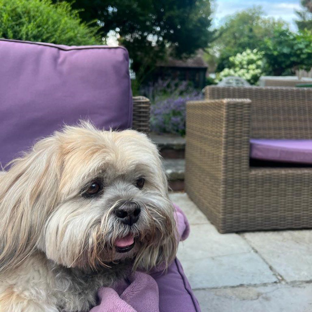 James Martin's private life: 7-bedroom home, 70lb weight loss and ...