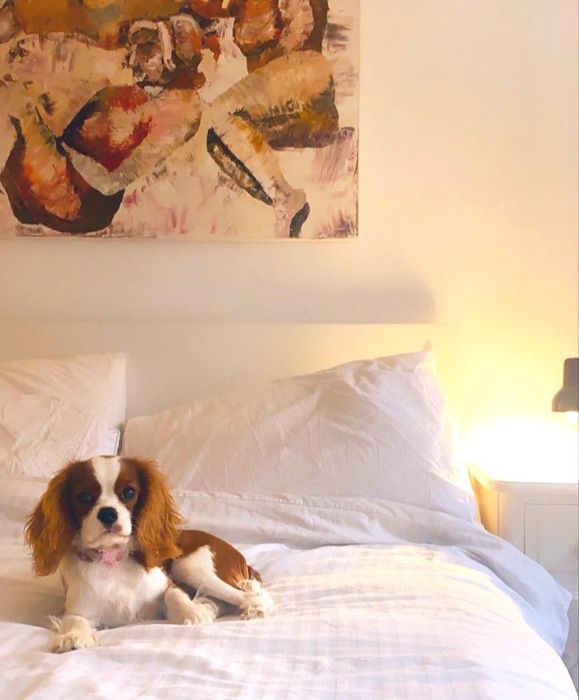 Emily Atack's stylish new home is so different from her last | HELLO!