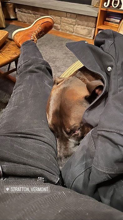 GMA's Amy Robach's former stepson shares glimpse inside incredible home ...