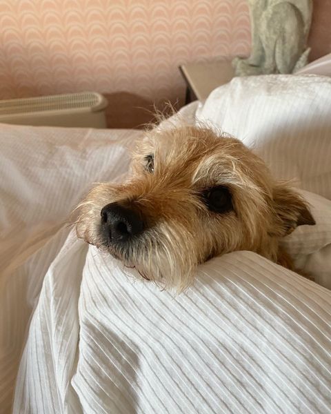 Amanda Holden reunites with rarely seen lookalike sister - and you won ...