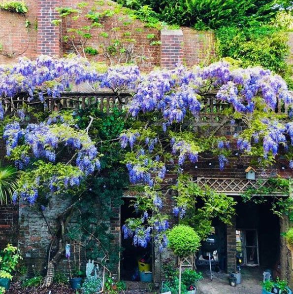 Zoe Ball lists her stunning Sussex home for £1.25million – and you have ...