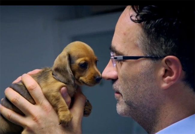 The Supervet Noel Fitzpatrick shares very rare family photo with fans ...