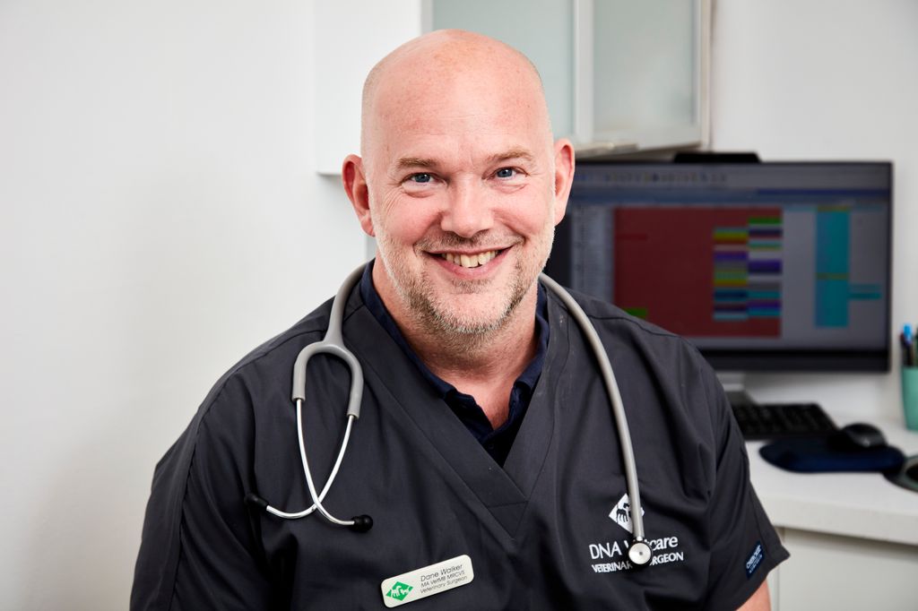 Dane Walker, veterinarian, settles debate on imported 'ticking time bomb' dogs – with 'profound ...