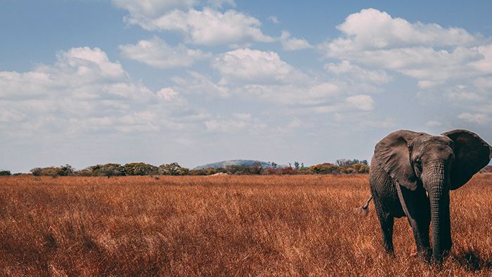 The most popular Zoom background destinations and landscapes revealed ...