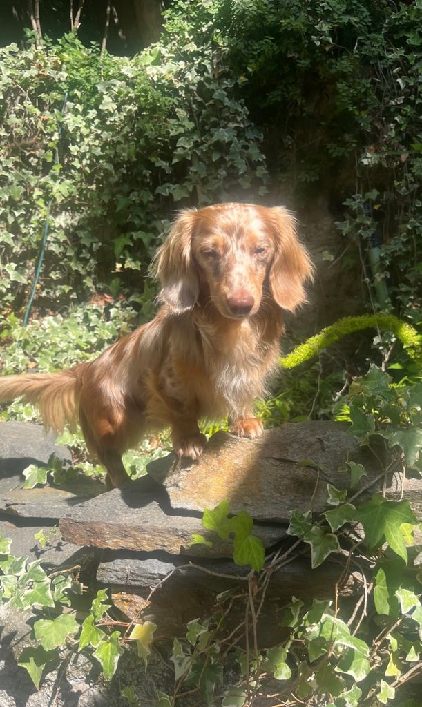 Paris Jackson takes jab at 'crying' paparazzi photos in social media ...