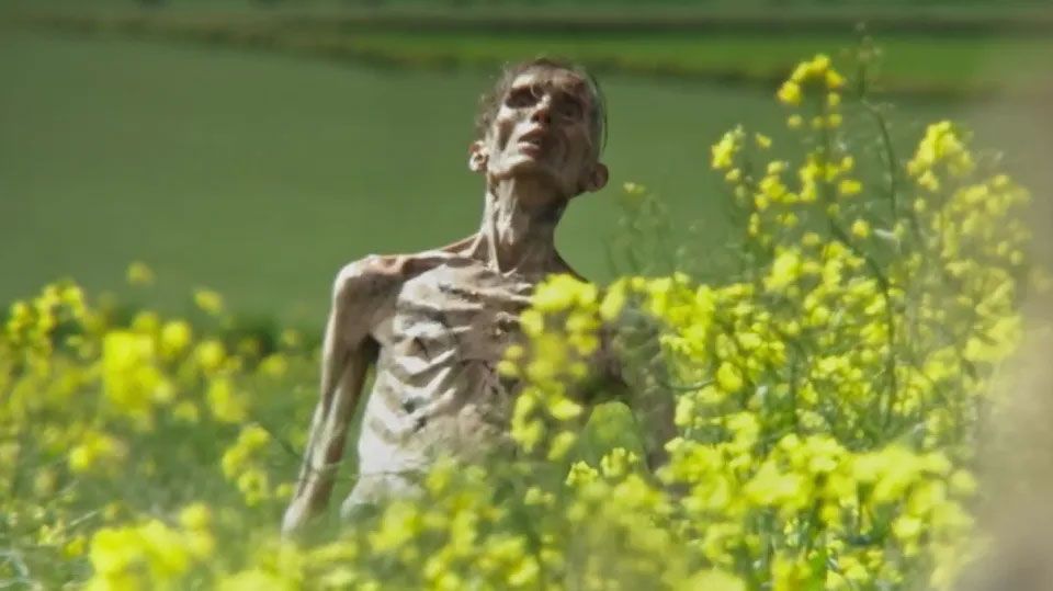 Cillian Murphy shocks audiences in gruesome new movie trailer | HELLO!